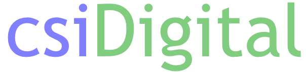 Digital Analytics - CSI Consulting
